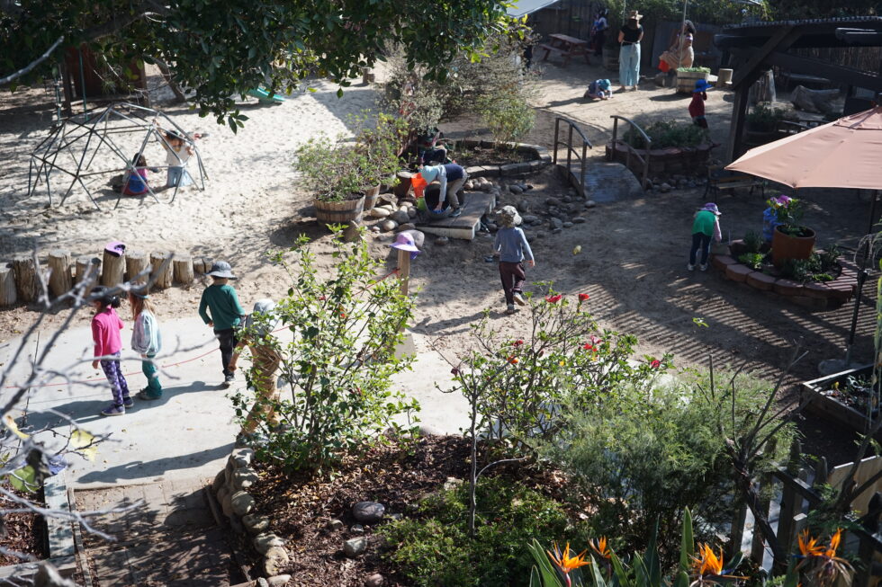 A Title Worthy of the Role: Why Our Early Childhood Teachers Are Now ...